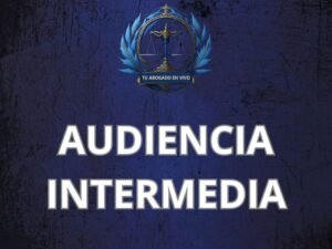 LOS ELEMENTOS QUE INTEGRAN LA AUDIENCIA INTERMEDIA
